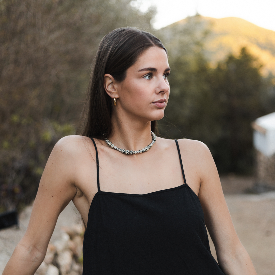 Dalmatian Jasper Bubble Necklace | Dalmatian Jasper Jewelry – Stellar ...